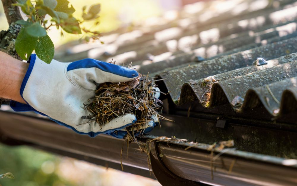 Best Gutter Cleaner: Top Tools for Efficient Roof Debris Removal